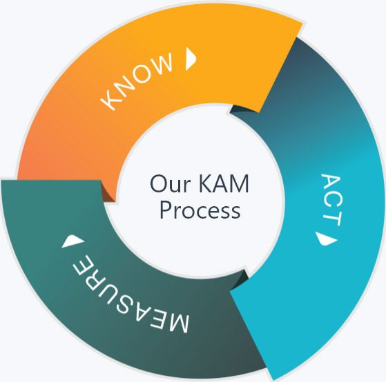 Our KAM Process: Deep Dive into KNOW